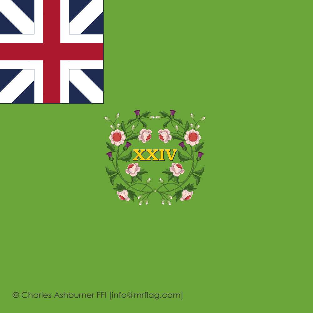 24th Regiment of Foot. Regimental Colour