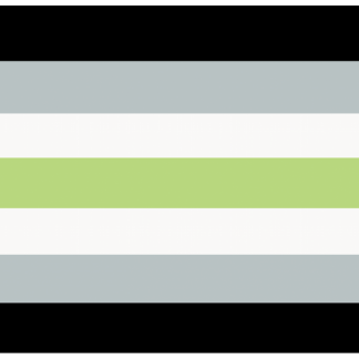 Agender Flag (Medium) - MrFlag
