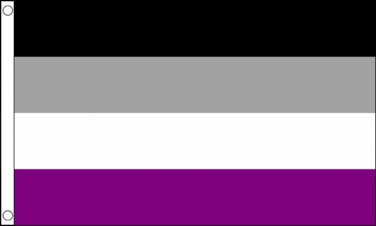 Asexual Flag (Medium) - MrFlag