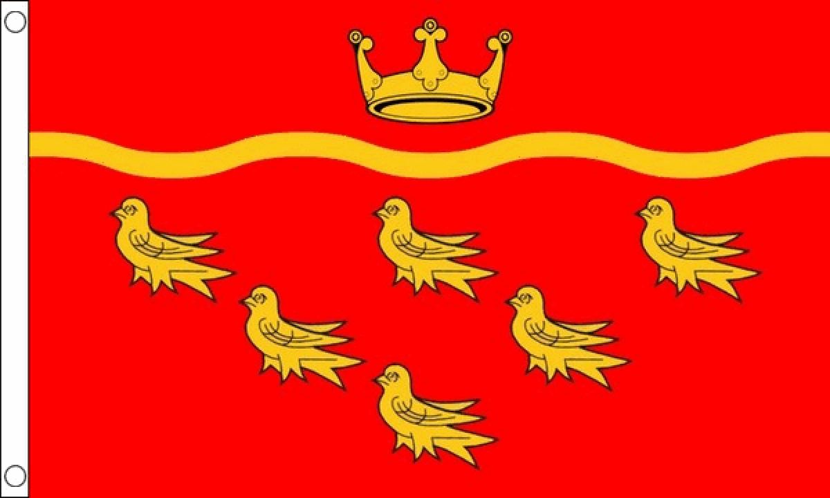 East Sussex Flag Medium Mrflag