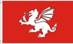 English White Dragon Flag (C) Flag (Medium) - MrFlag