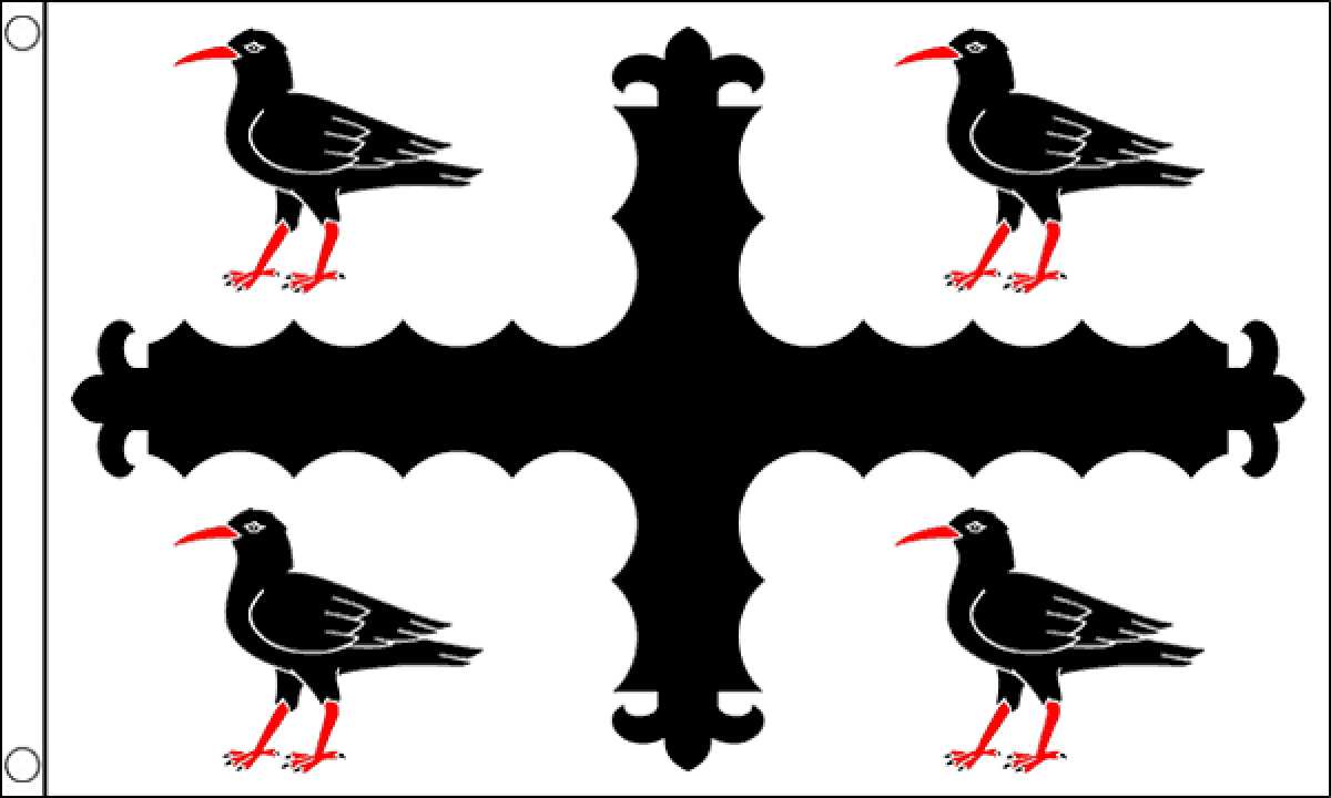 Flintshire Flag (Medium) - MrFlag