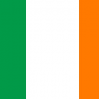 Ireland (Eire) Flag (Small) | MrFlag