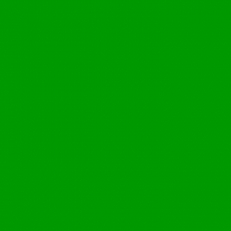 Libya Old (Green) Flag (Medium) | MrFlag
