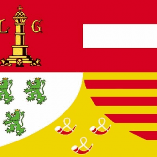 Liege Flag (Medium) | MrFlag