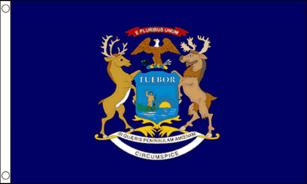 Michigan Flag (Medium) - MrFlag