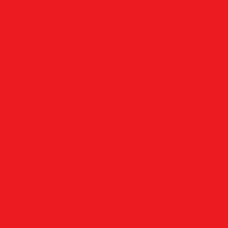 Plain Red Flag (Medium) - MrFlag