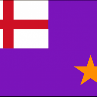 Purple Standard Flag (Medium) - MrFlag