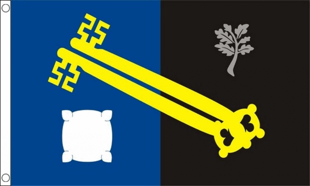 Surrey Flag Old (Medium) - MrFlag