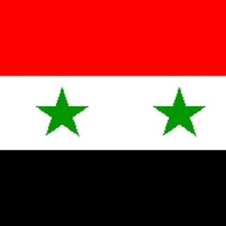 Syria Flag (Small) | MrFlag