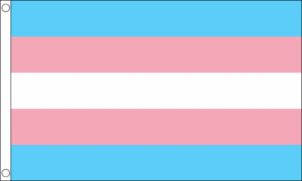Transgender (New) Flag (Medium) - MrFlag