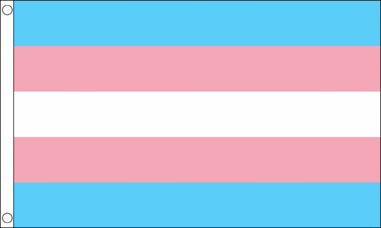 Transgender (New) Flag (Medium) - MrFlag