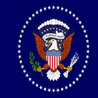 USA President Flag (Medium) | MrFlag