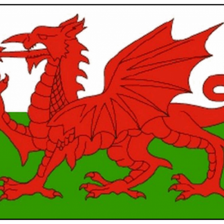 Wales Flag (Large) | MrFlag