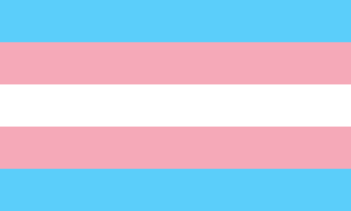 Transgender Pride Outdoor Quality Flag - MrFlag