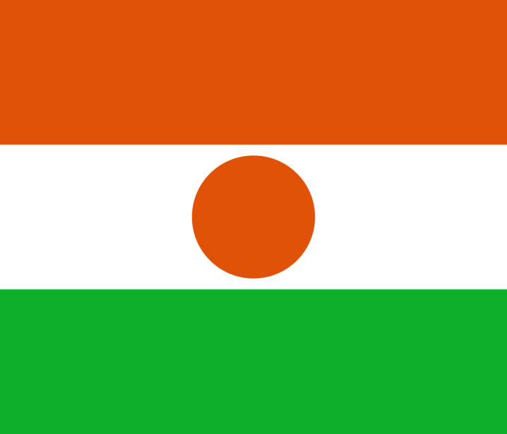 Niger Traditional Sewn Flag - MrFlag