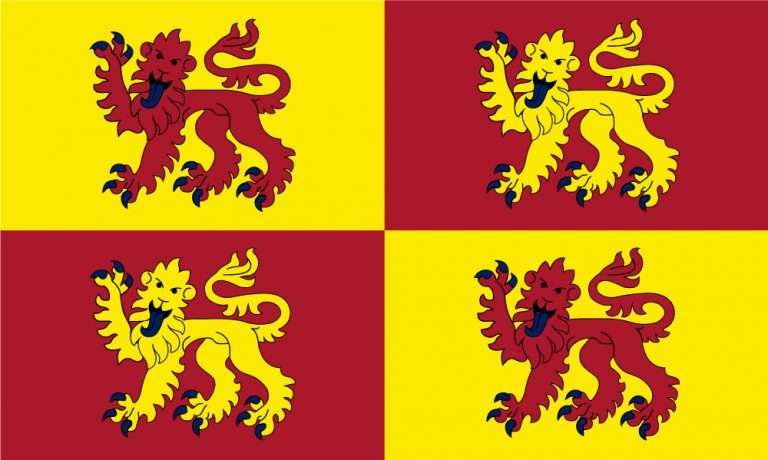 St Davids Day Flag | History of the St David Flag | MrFlag