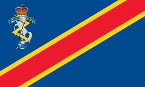 REME Professional Quality Flag – MrFlag