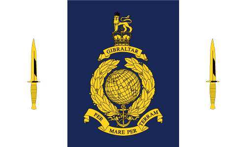 42 Commando Royal Marines Professional Quality Flag – MrFlag