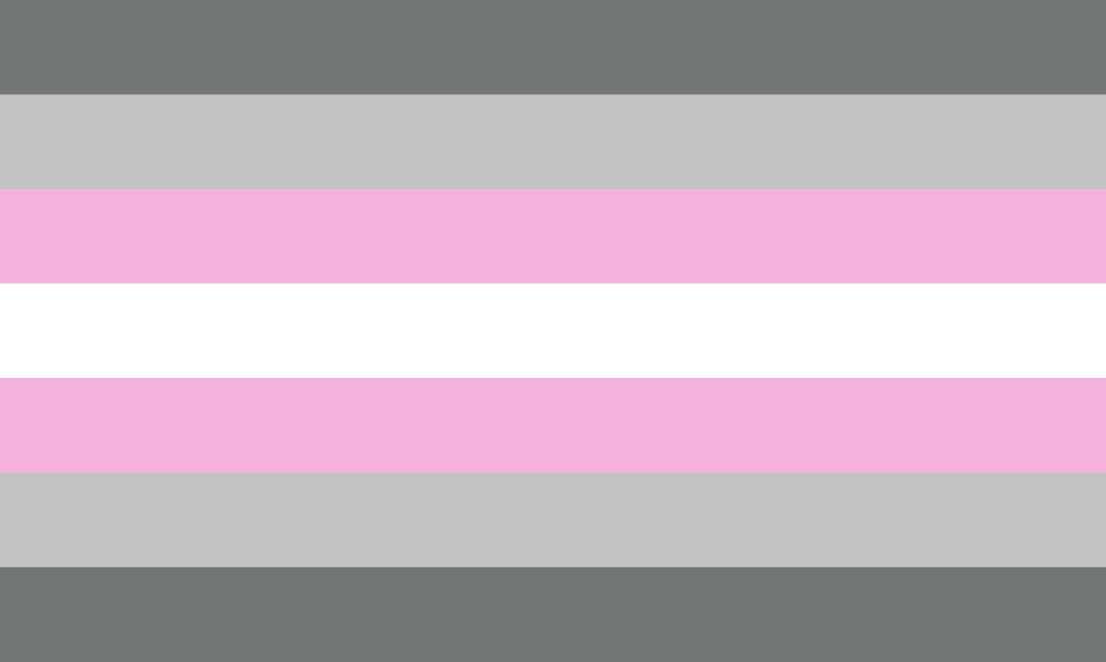 Demi Girl Pride Outdoor Quality Flag - MrFlag