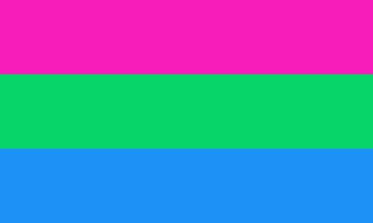 Polysexual Pride Outdoor Quality Flag - MrFlag