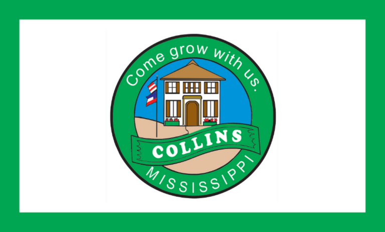 Buy Collins Mississippi Outdoor Flag | USA Flags Online