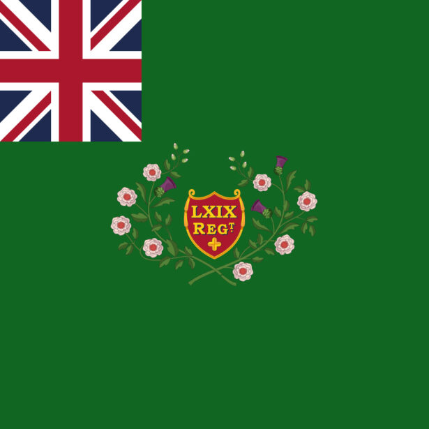 69th Regiment of Foot. Regimental Colour - MrFlag