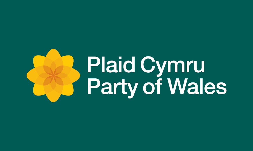 Buy Vote Plaid Cymru Flag | Political Flags For Sale | MrFlag